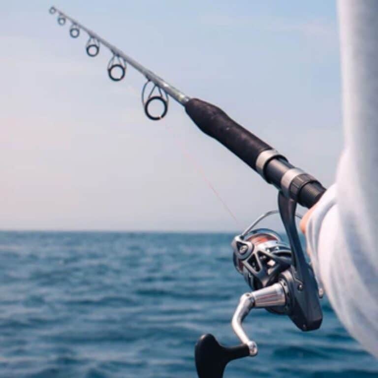 Teleskop fiskestang [2023] • Top 3 | Friluftsmagasinet